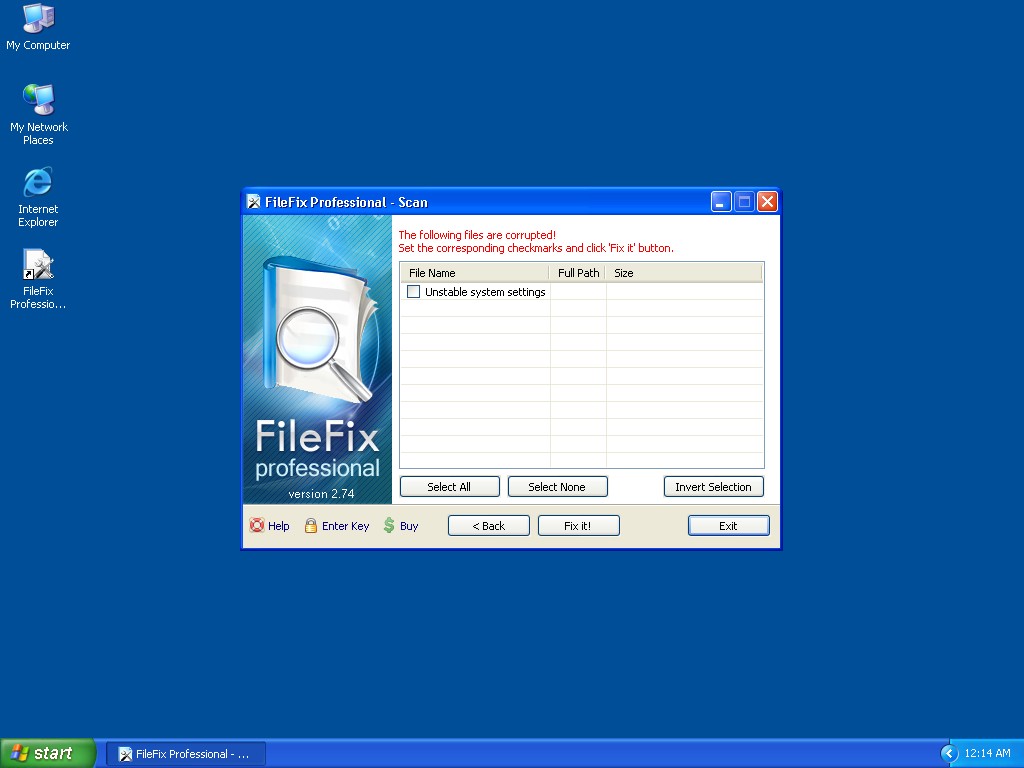 FileFix Professional 2009 Removal Report