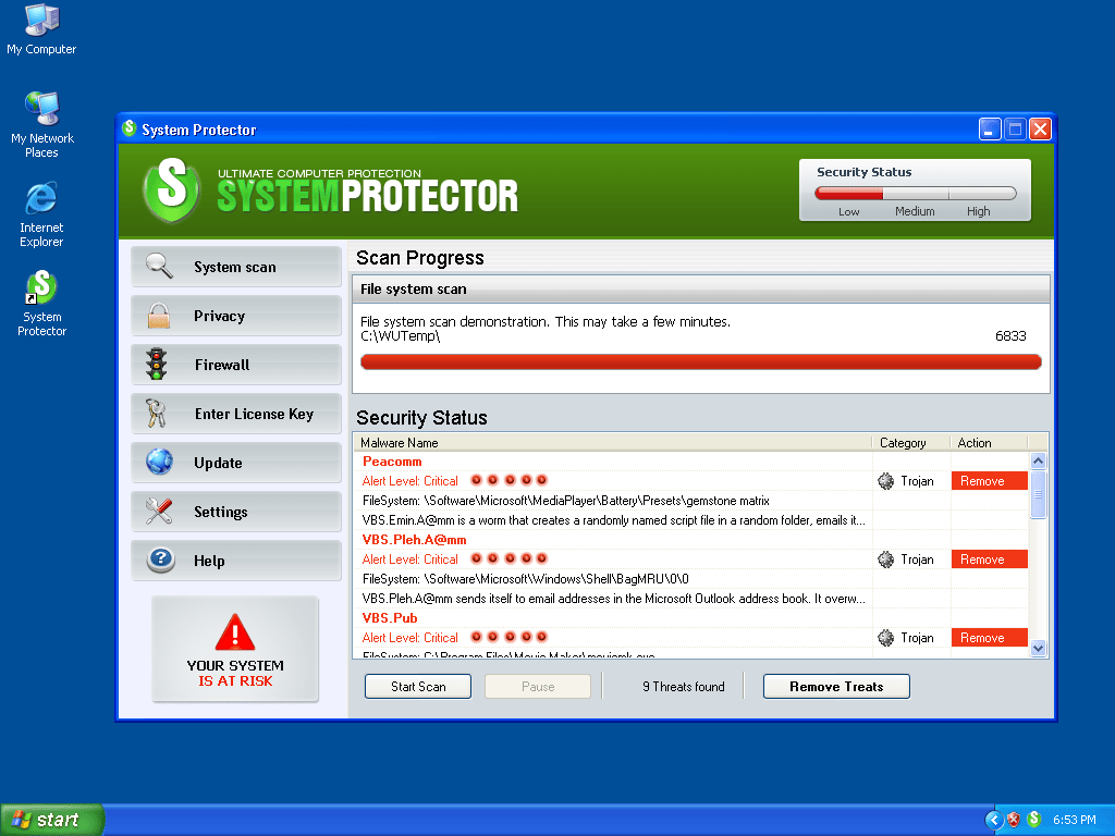 System Protector Removal Report